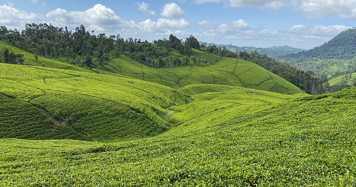 Njeru Industries - TA | BIO